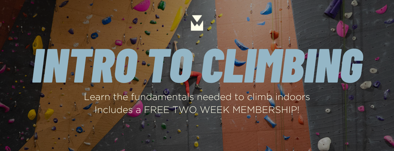 Intro to Climbing | North Vertical World