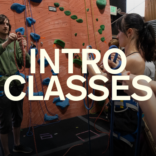 Intro to Climbing | North Vertical World